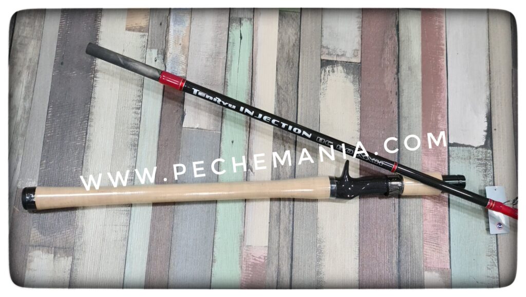 TENRYU INJECTION BC 80 XXH - Pechemania