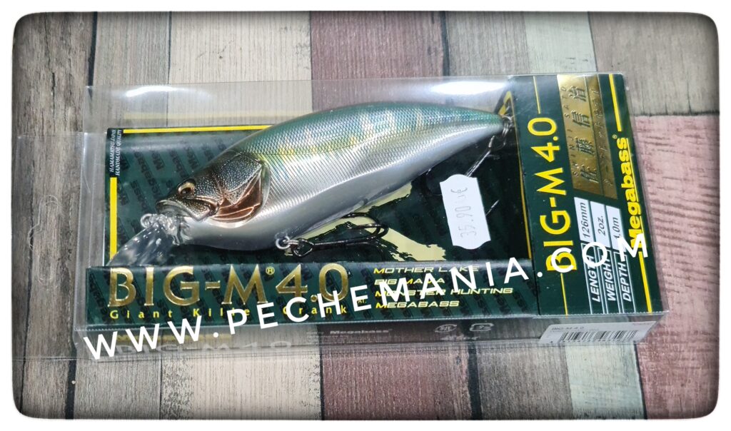 MEGABASS BIG-M 4.0 - Pechemania